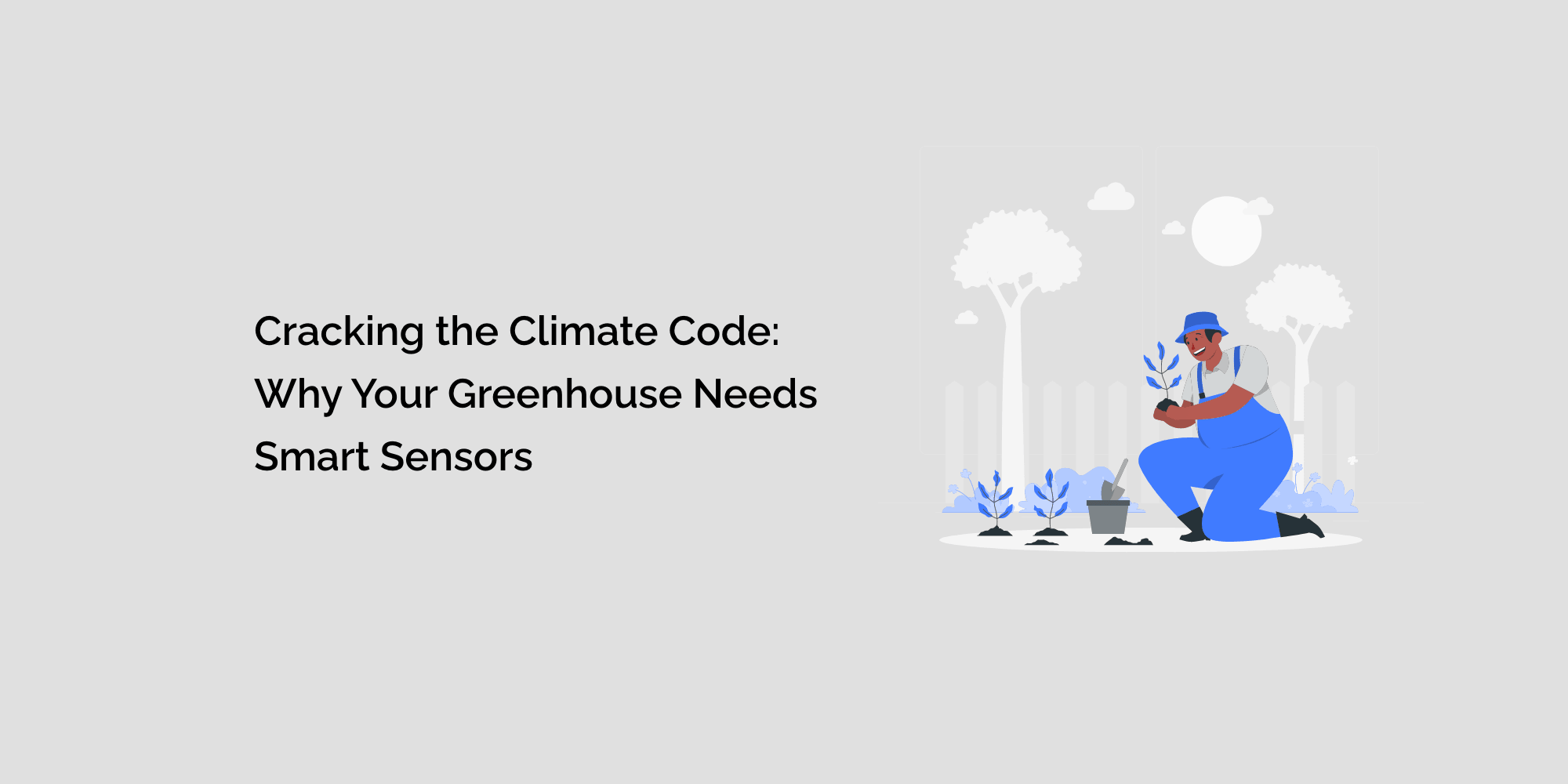 Cracking the Climate Code: Why Your Greenhouse Needs Smart Sensors – tempCube