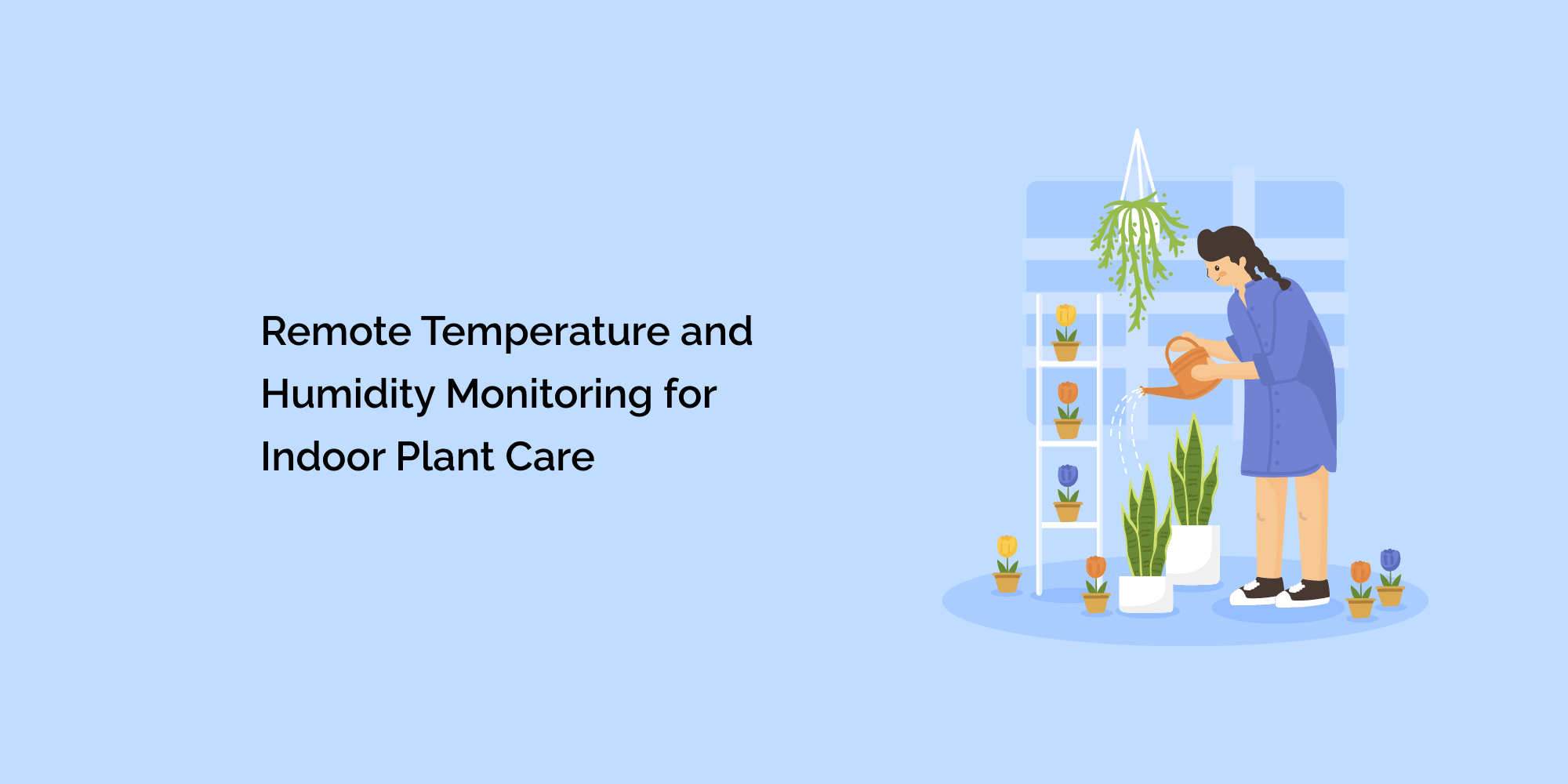 Remote Temperature and Humidity Monitoring for Indoor Plant Care – tempCube