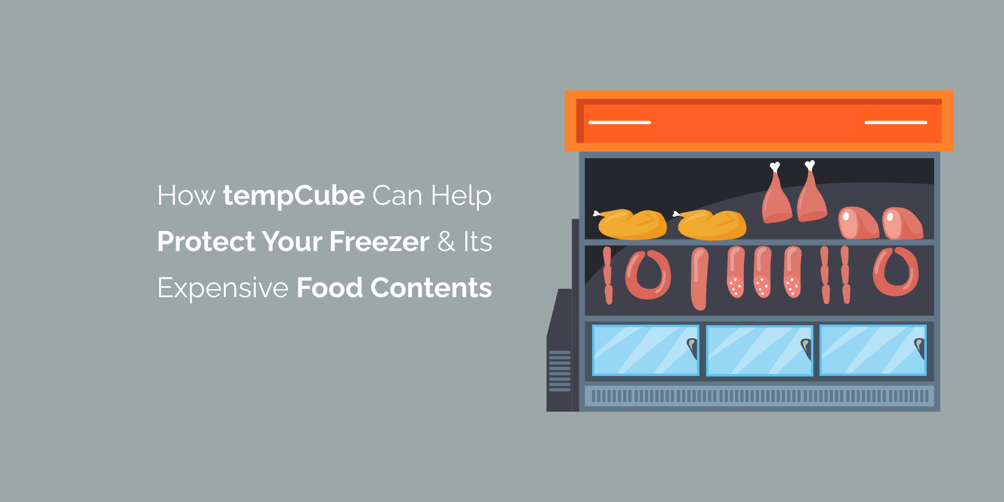 How TempCube can help protect your freezer and its Expensive food cont – tempCube