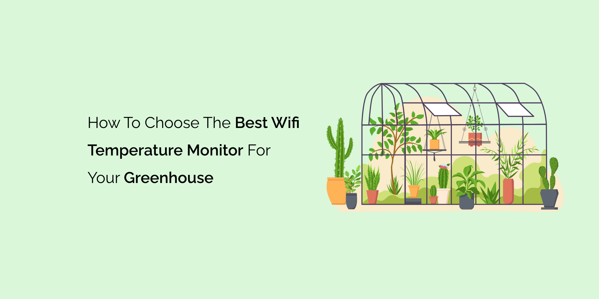 How to Choose the Best Wifi Temperature Monitor for Your Greenhouse ...