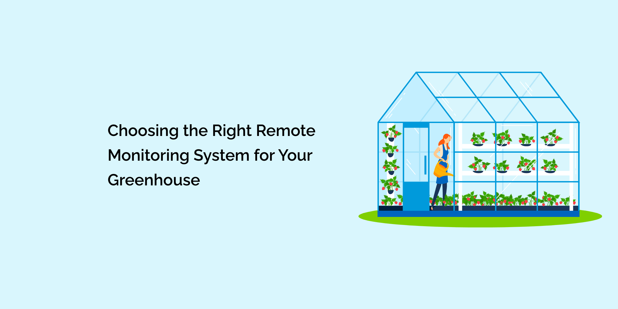 Choosing the Right Remote Monitoring System for Your Greenhouse – tempCube