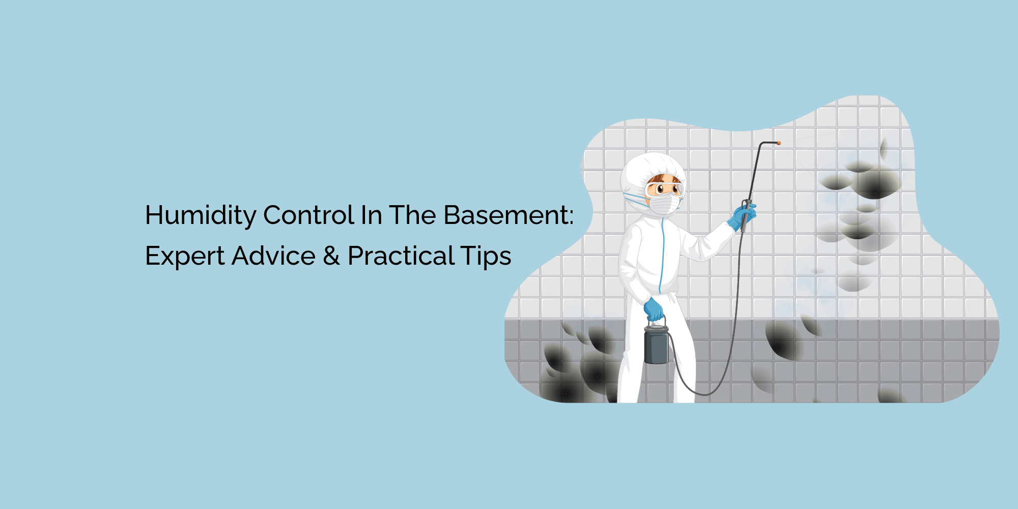 Humidity Control in the Basement: Expert Advice and Practical Tips ...
