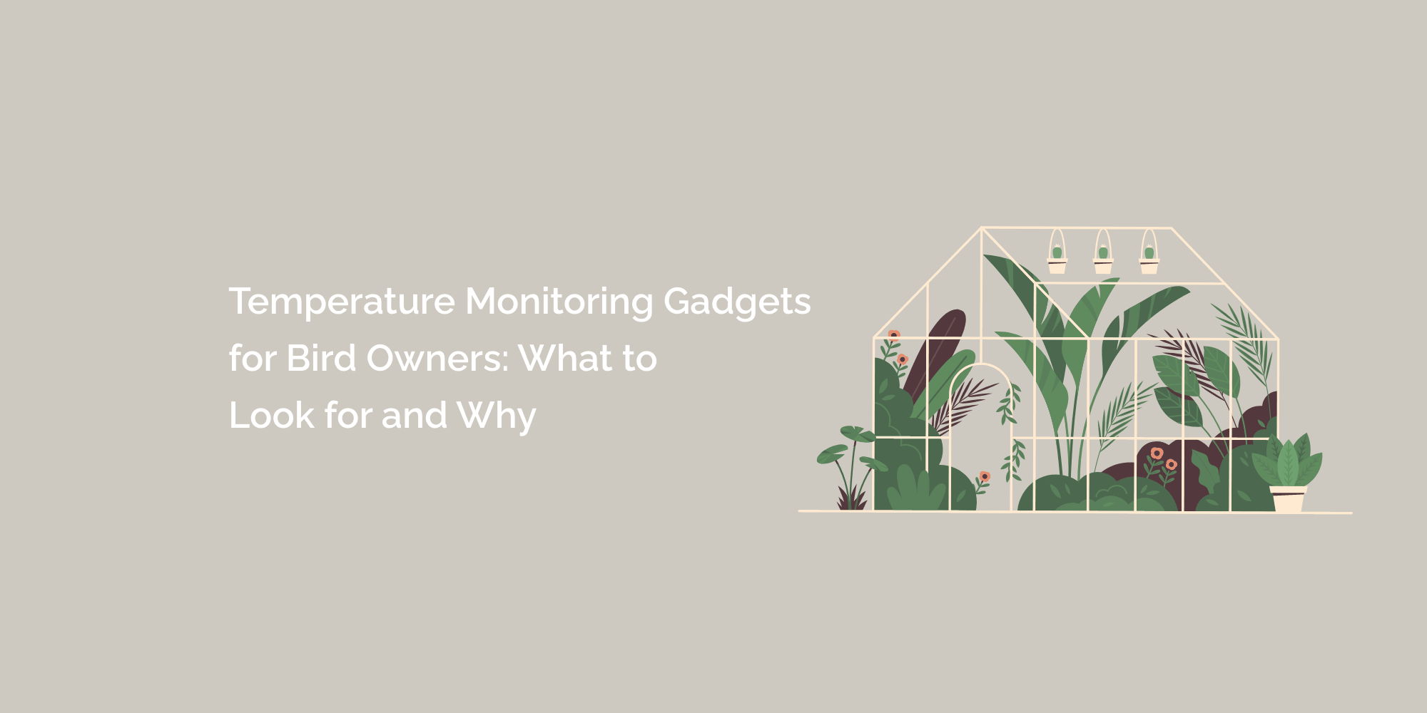 Temperature Monitoring Gadgets for Bird Owners: What to Look for and W ...