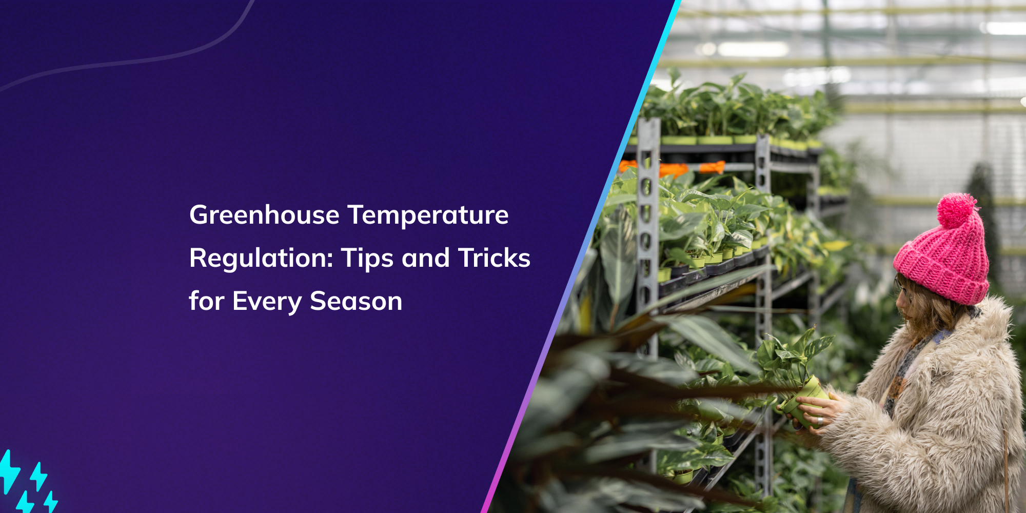 Greenhouse Temperature Regulation: Tips and Tricks for Every Season ...