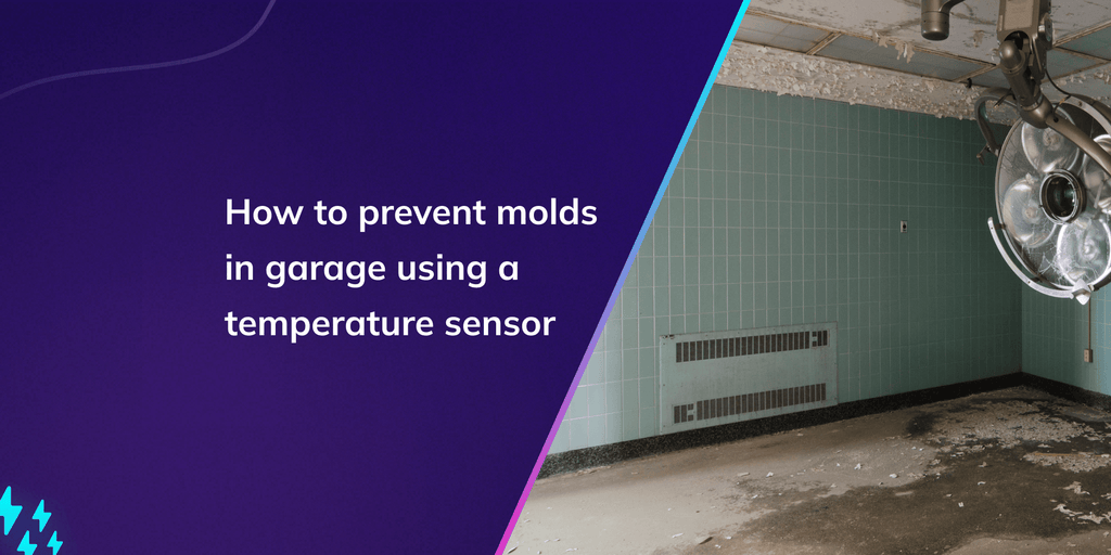 How To Prevent Molds In Garage Using A Temperature Sensor Tempcube