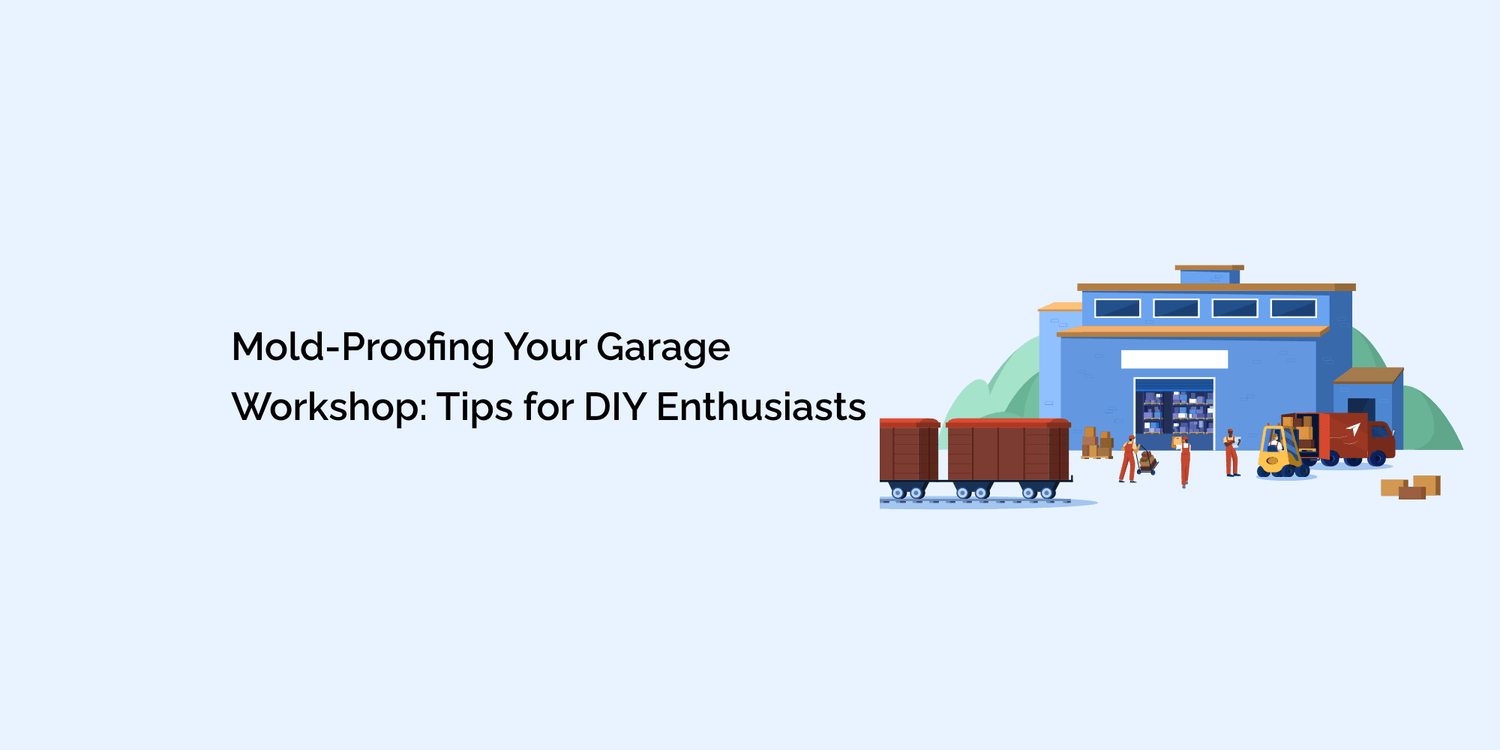 Mold Proofing Your Garage Workshop Tips For Diy Enthusiasts Tempcube