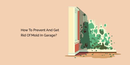 How to Prevent And Get Rid of Mold in Garage? – tempCube