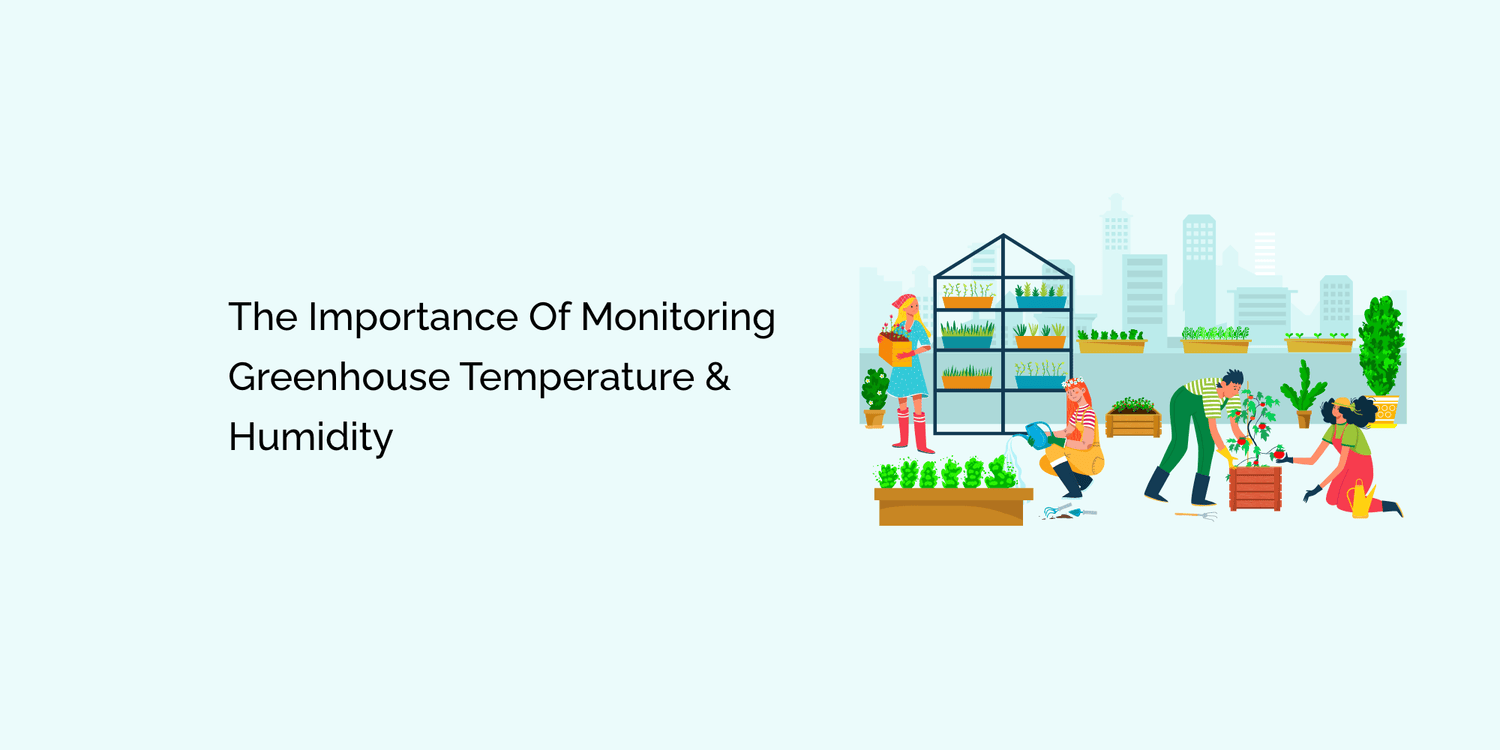 The Importance of Monitoring Greenhouse Temperature and Humidity – tempCube
