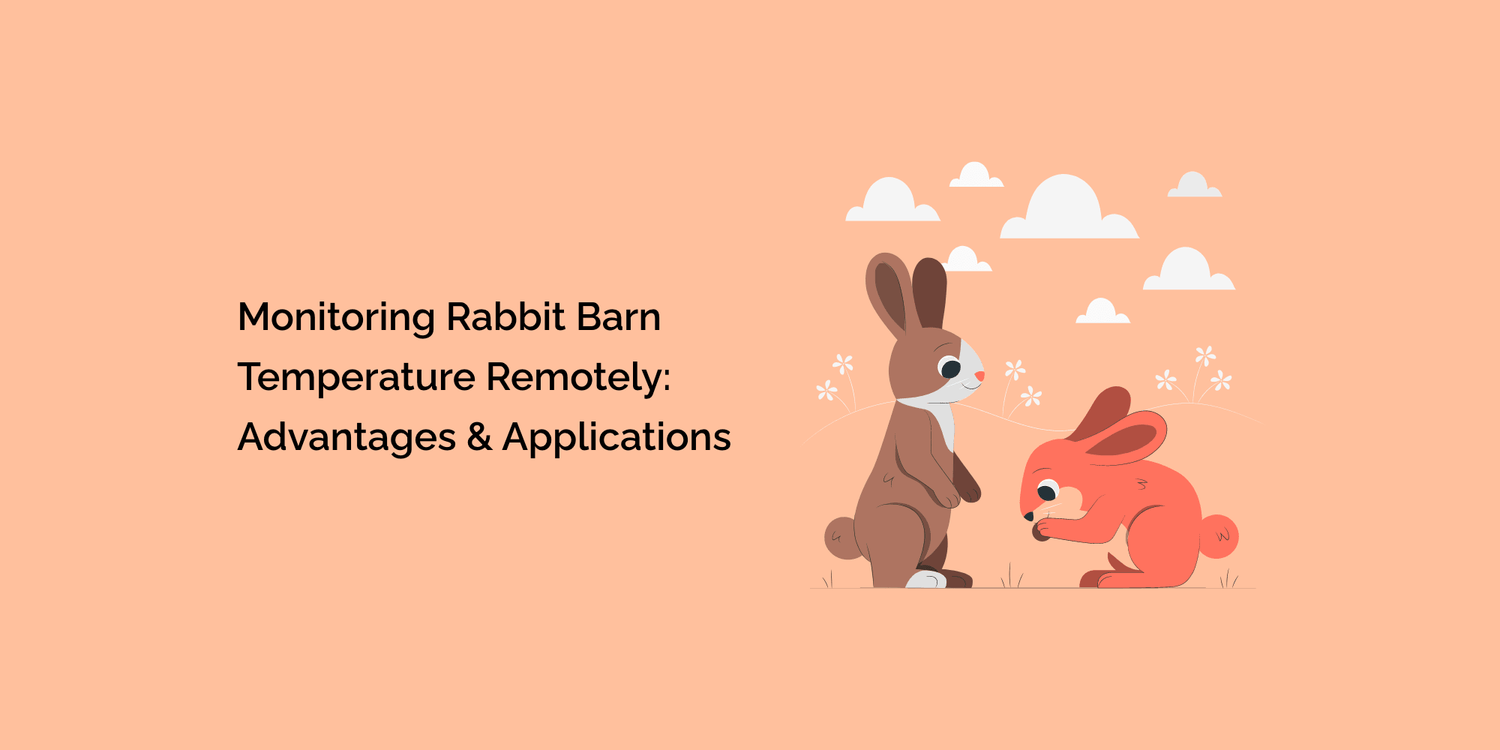 Monitoring Rabbit Barn Temperature Remotely: Advantages and Applicatio – tempCube