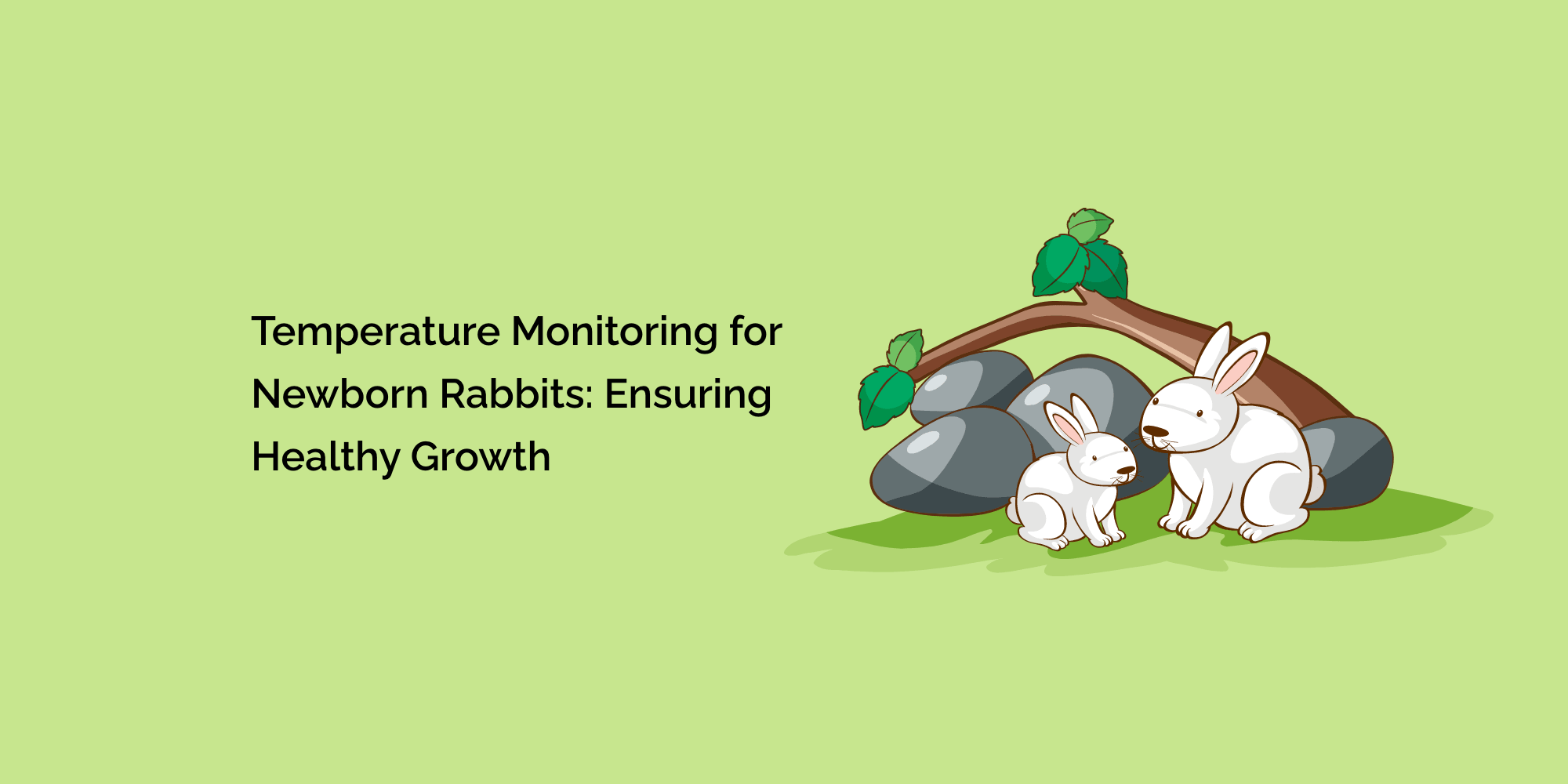 Temperature Monitoring for Newborn Rabbits: Ensuring Healthy Growth – tempCube
