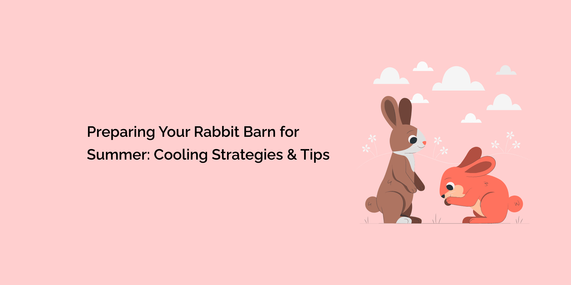 Preparing Your Rabbit Barn for Summer: Cooling Strategies and Tips ...