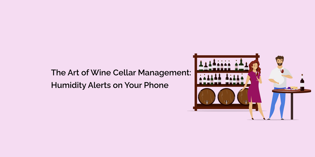 The Art Of Wine Cellar Management Humidity Alerts On Your Phone Tempcube