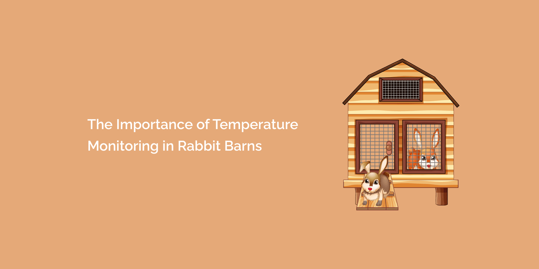 The Importance of Temperature Monitoring in Rabbit Barns – tempCube