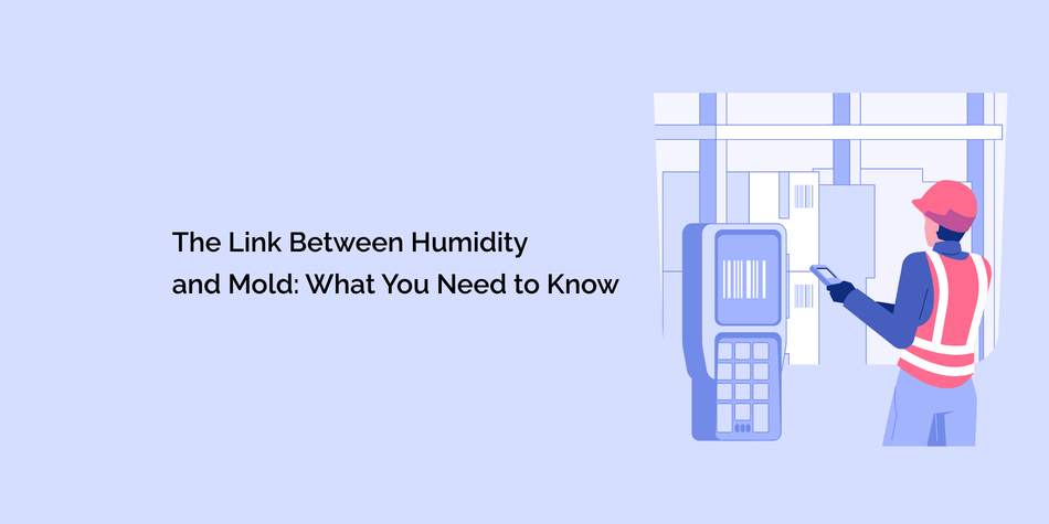 The Link Between Humidity and Mold: What You Need to Know – tempCube