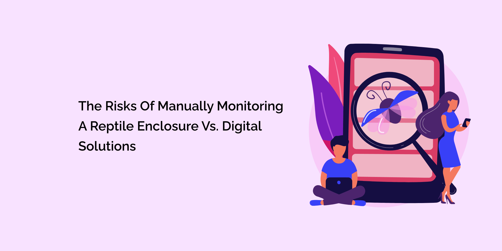 The Risks of Manually Monitoring a Reptile Enclosure vs. Digital Solut ...